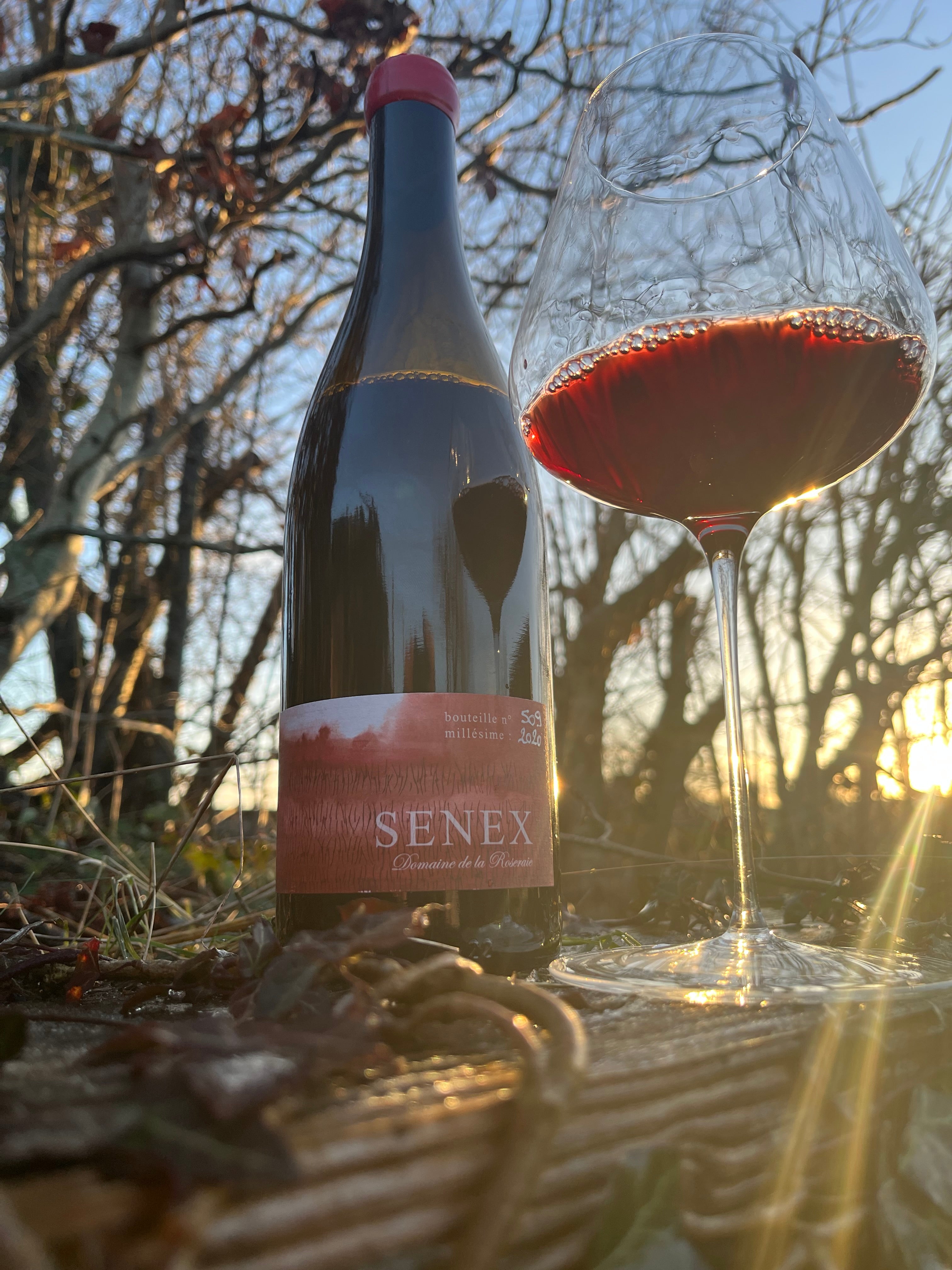 Domaine de la Roseraie - Senex - Beaune 2020 – extrabrut.dk