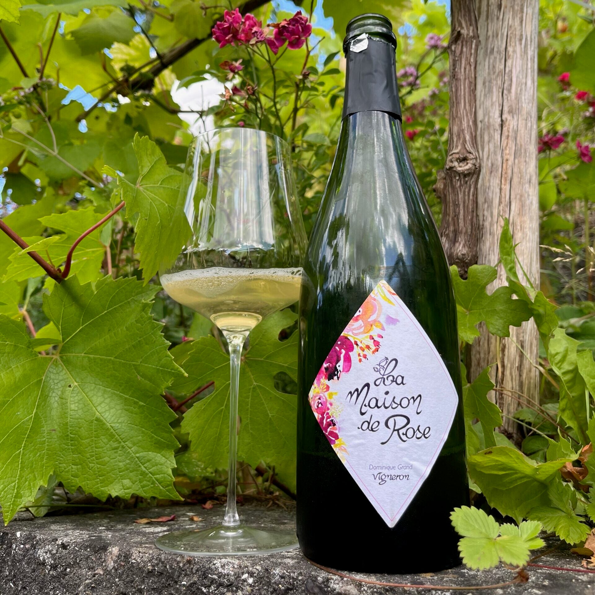 La Maison de Rose Sanz’ap vin mousseux brut nature – extrabrut.dk